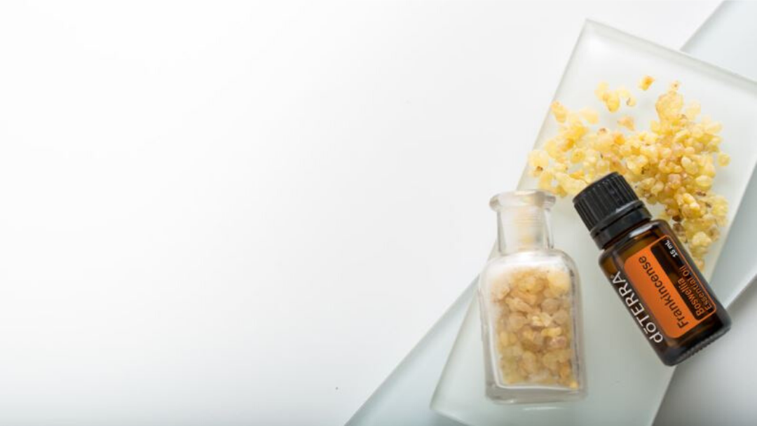 Candida: Removing Bugs – The Wellness Abode